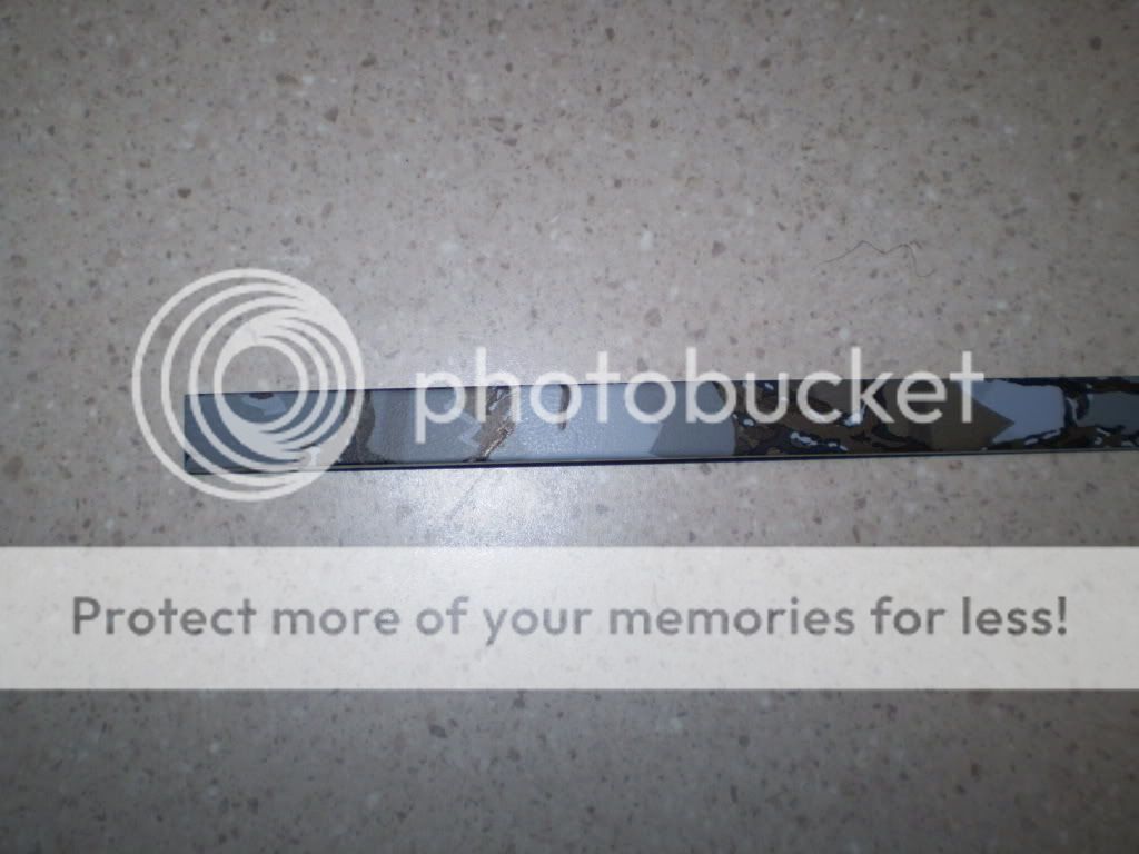 Gray Predator Film Dip | Archery Talk Forum